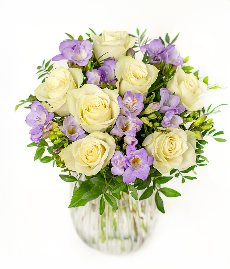 Moonlight | Eflorist.ie