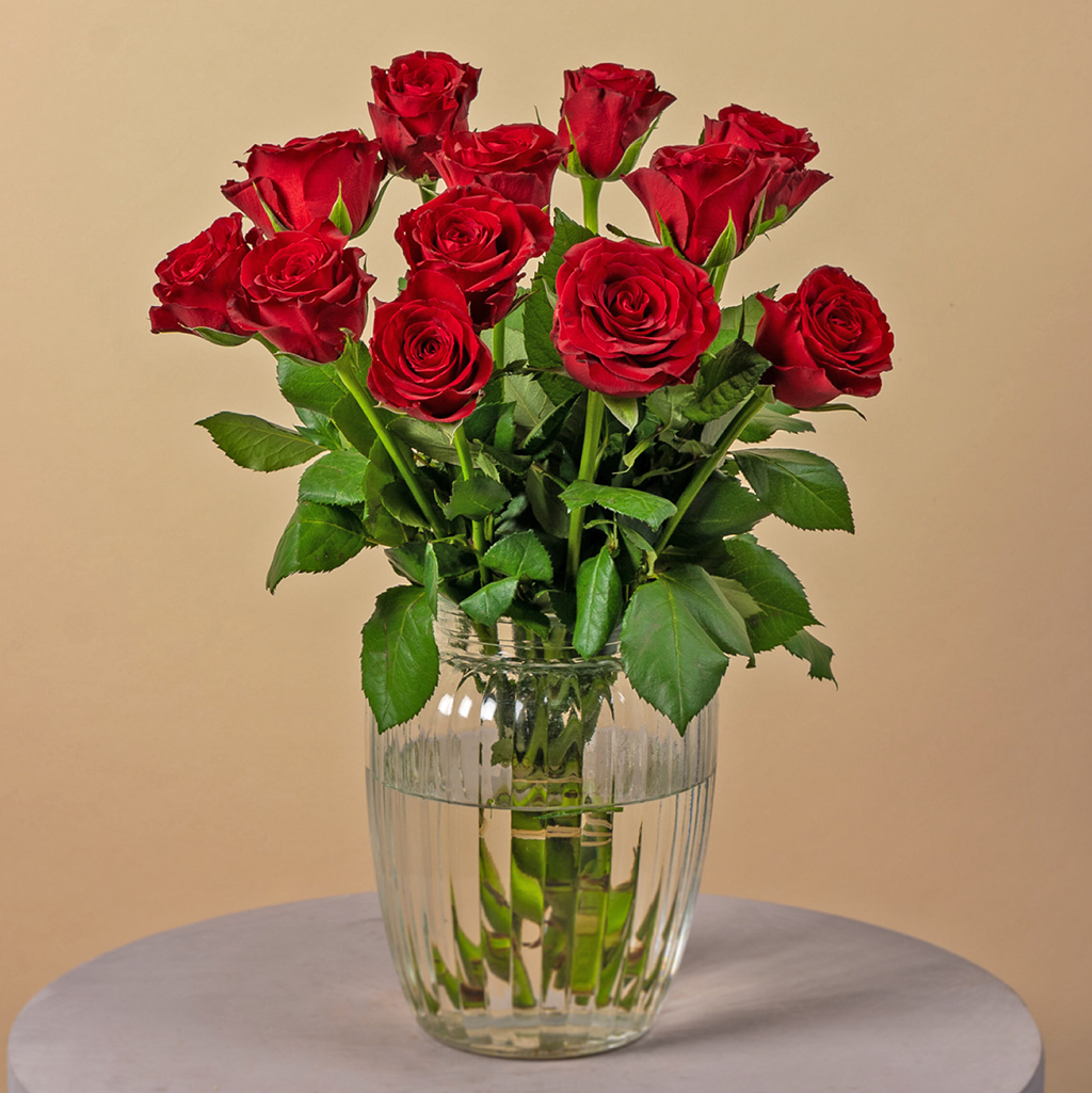 Single Rose | Roses with Free Delivery | Serenata Flowers