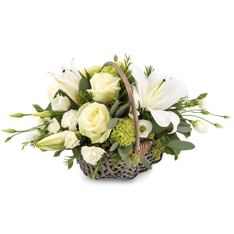 Dove | Euroflorist Flower Delivery