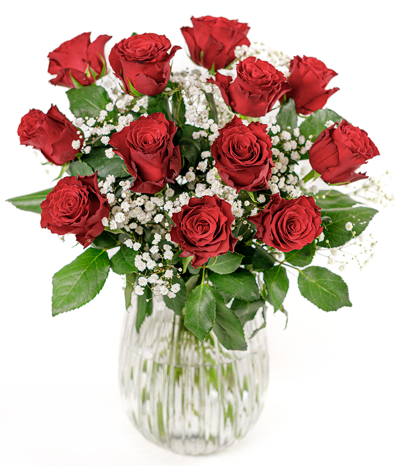 12 Luxury Red Roses | Valentine's Day Flowers | Eflorist.co.uk