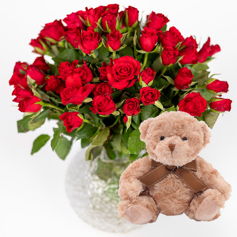 50 Roses & Teddy | Trackable Delivery | Euroflorist