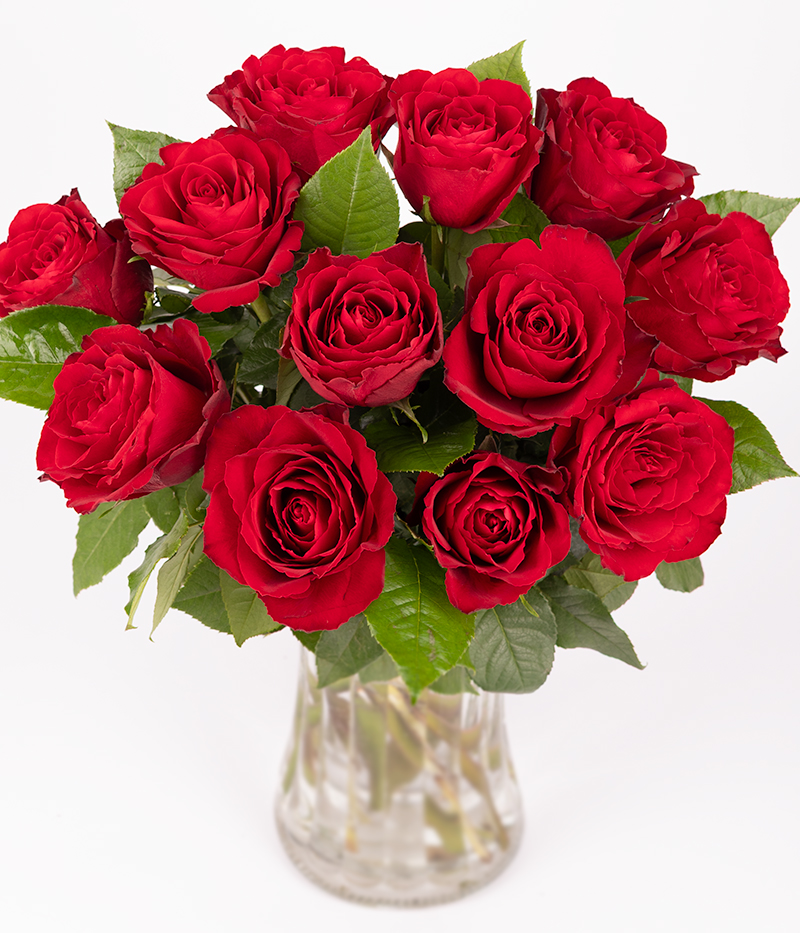 Valentine's Day Flowers & Roses | FREE Chocolates | Eflorist